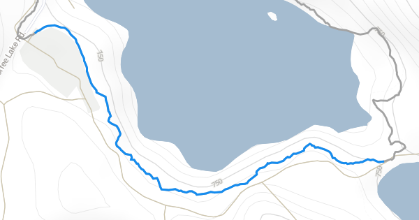 Morfee Lake Trail Multi Trail - Mackenzie, BC