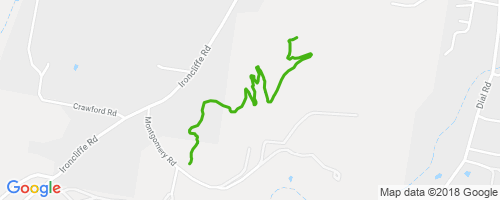 Return of the Penguin! Mountain Biking Trail - Penguin