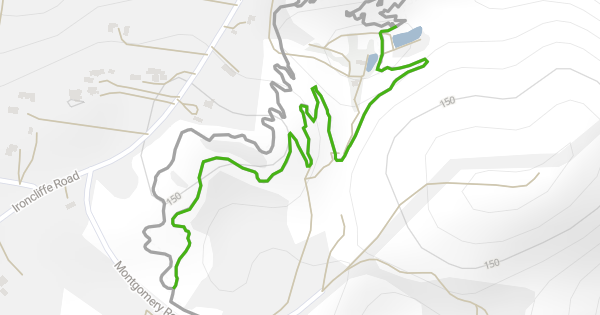 Return of the Penguin! Mountain Biking Trail - Penguin