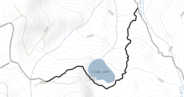 Cody Lake Trail Mountain Biking Trail - Strawberry, CA