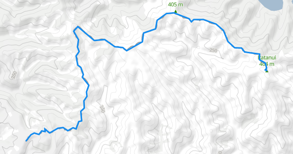 Meremere Track Mountain Biking Trail - | Trailforks