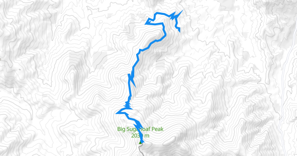 Grayback Mountain Trail Mountain Biking Trail - Grants Pass