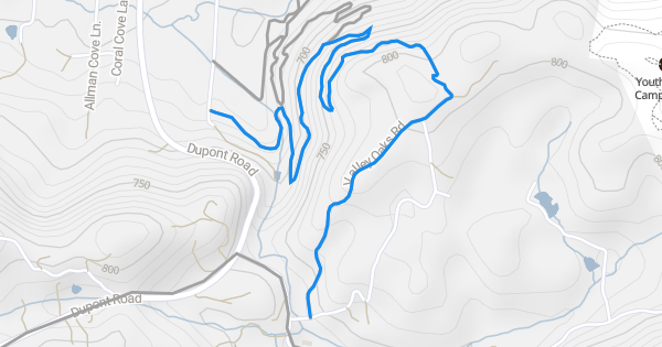 Old Pace Ridge Mountain Biking Trail - Brevard, NC
