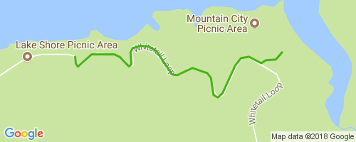 Lake Loop Trail #40L / Whitetail Loop Mountain Biking Trail - Deerfield