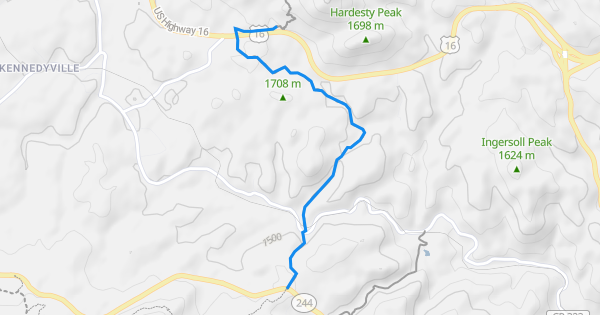 Trail 89 - Samelius TH - Big Pine TH Multi Trail - Keystone, SD