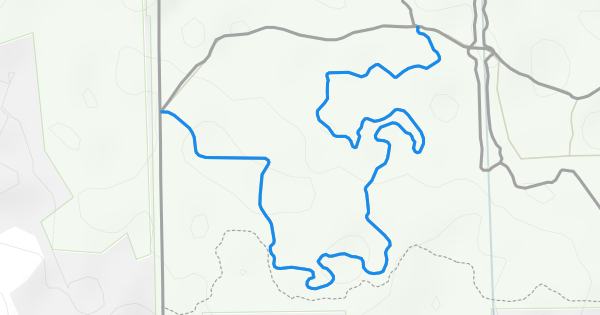 Two Bridges Mountain Biking Trail - Oviedo, Florida