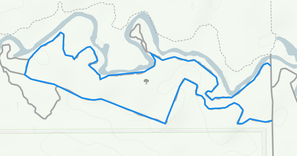 Outback Mountain Biking Trail - Oviedo, Florida