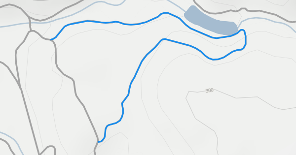 Cochran Mill Loop 2 Mountain Biking Trail - Chattahoochee Hills