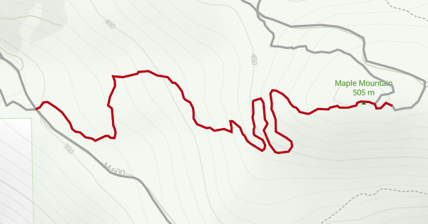 Upper Maple Syrup Mountain Biking Trail - Duncan, BC