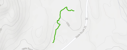 Frater Lake West Trail Mountain Biking Trail - Tiger