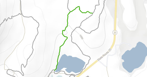 Frater Lake West Trail Mountain Biking Trail - Tiger