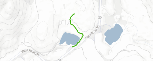 Frater Lake East Trail Mountain Biking Trail - Tiger