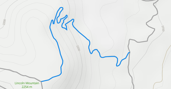 Lincoln Mountain Mountain Biking Trail - Larkspur, CO