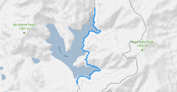 Bead Lake East Shoreline Mountain Biking Trail - Newport