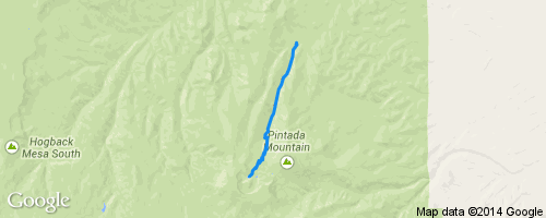 Middle Frisco Mountain Biking Trail - Del Norte, Colorado