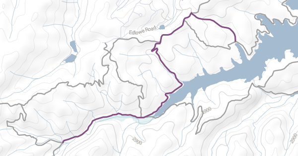 Catamount Trail Road Multi Trail - Woodland Park, CO