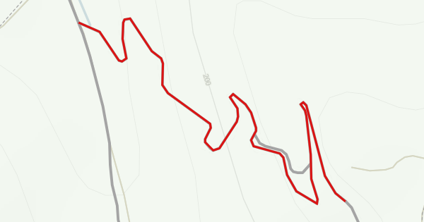 Upper Cliff Mountain Biking Trail - Rugeley | Trailforks