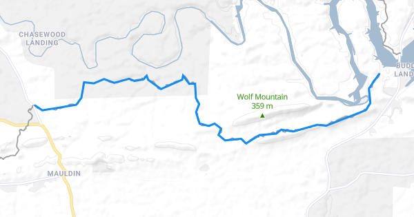 Womble - Womble Road Mountain Biking Trail - - Arkansas