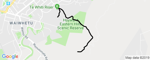 Te Whiti Firebreak Mountain Biking Trail - | Trailforks