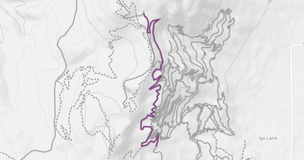 Mount Emily Road Mountain Biking Trail - La Grande