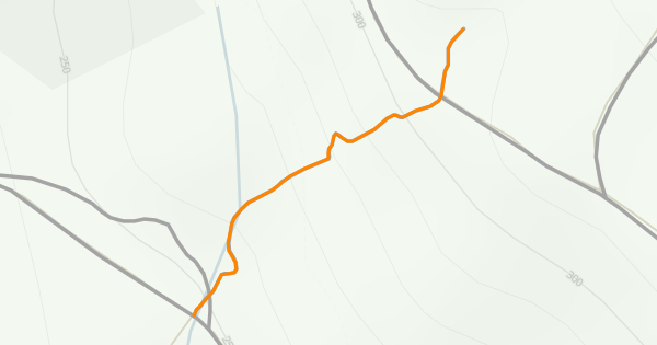 Leap of Faith Mountain Biking Trail - Clitheroe