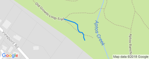 Advocate Tree Hiking Trail - Aptos, California