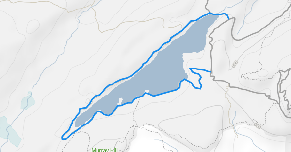 Lake Awosting Carriage Road Multi Trail - Kerhonkson