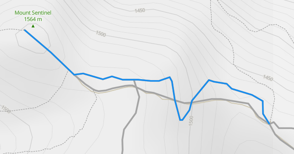 Mount Sentinel Summit Multi Trail - Missoula, Montana