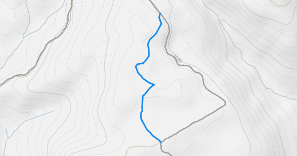 Moon Rock Mountain Biking Trail - Bass Lake, CA