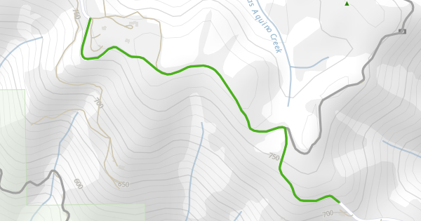 Montevina Ridge Multi Trail - Los Gatos, California