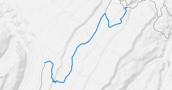 Dry Creek - Tabeguache Trail Mountain Biking Trail - Montrose