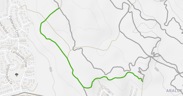 Tmara Mara Track Mountain Biking Trail - | Trailforks