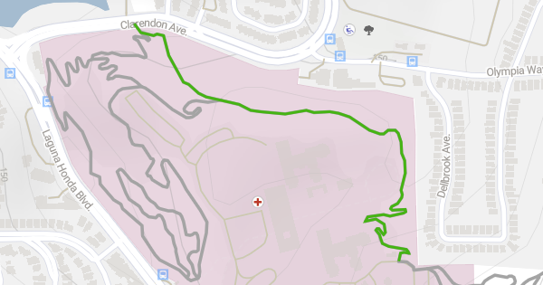 Steep Ravine Trail Multi Trail - San Francisco, CA