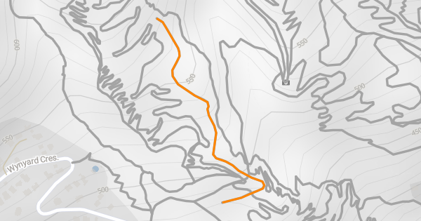 Dream Track Mountain Biking Trail - Queenstown