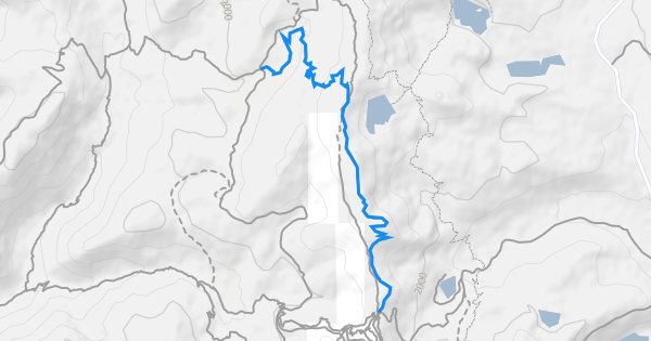 Gold Valley Rim Trail Mountain Biking Trail - Downieville