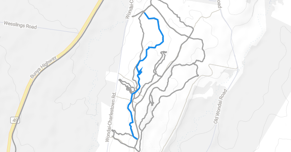 Giant Mountain Biking Trail - Wondai | Trailforks