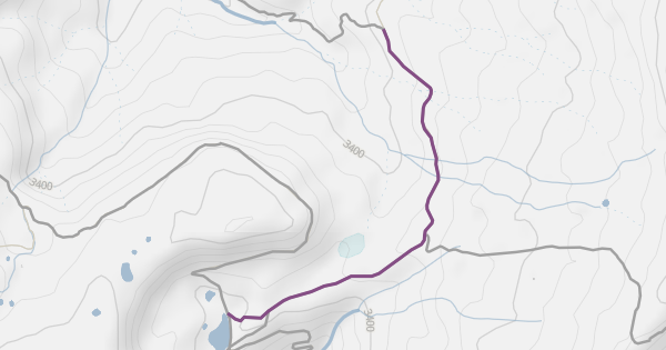 East Fork (Old Double Track) Multi Trail - Rico, CO