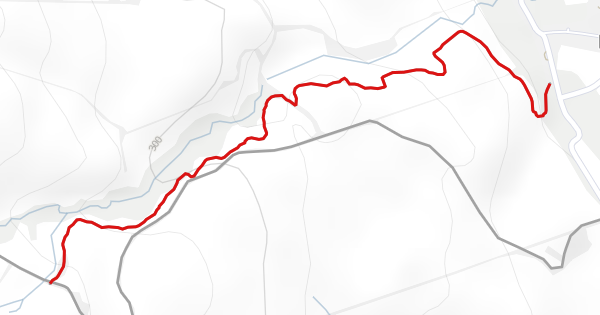 Skydive Mountain Biking Trail - | Trailforks