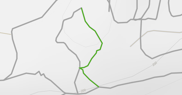 Kippers On Rye Mountain Biking Trail - Syracuse, New York