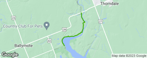 Fanshawe Lake Trail - north side Mountain Biking Trail - London