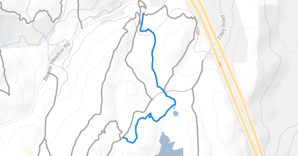 Cockaponset Trail Hiking Trail - Haddam, Connecticut