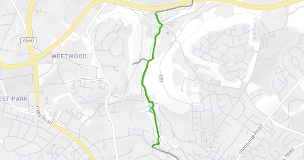 Meanwood Park Mountain Biking Trail - | Trailforks