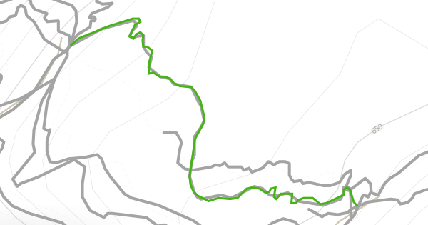 Upper Turn Earner Mountain Biking Trail - Maydena