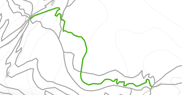 Upper Turn Earner Mountain Biking Trail - Maydena