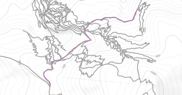 Midline Mountain Biking Trail - Maydena | Trailforks