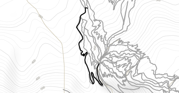The Local Mountain Biking Trail - Maydena | Trailforks