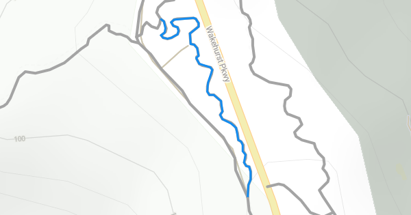 Popeye Mountain Biking Trail - Manly Dam, Sydney