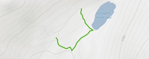 Gallagher Head Lake Loop Trail Multi Trail - - Washington