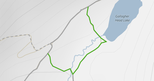 Gallagher Head Lake Loop Trail Multi Trail - - Washington