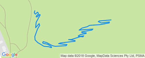 Rewa Hard Mountain Biking Trail - Auckland | Trailforks